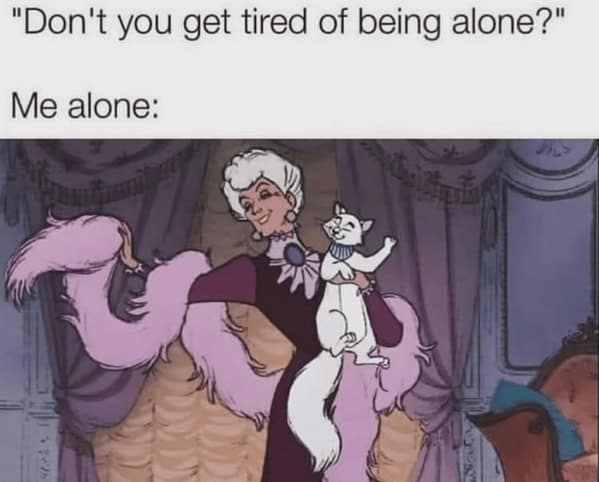 cat memes-24-1-22-2025 - Thunder Dungeon | The Funniest Memes. Period.