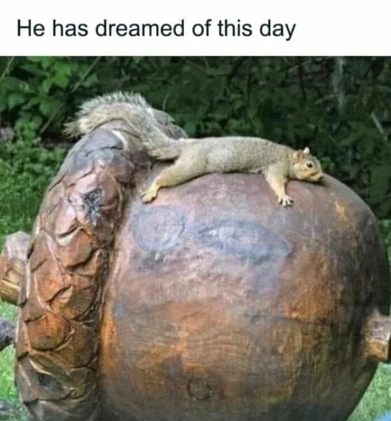 Country Memes: 40 Gems Turning Rural Life into Subtle Sarcasm