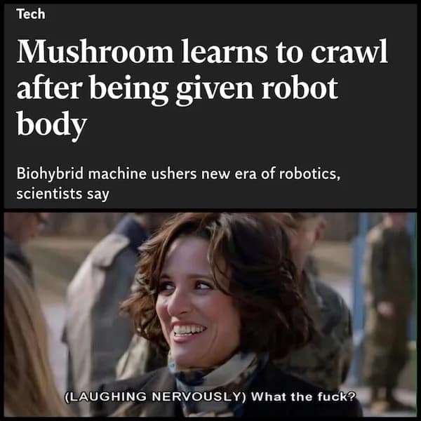 funny memes 1-20-1-31-2025 - Thunder Dungeon | The Funniest Memes. Period.