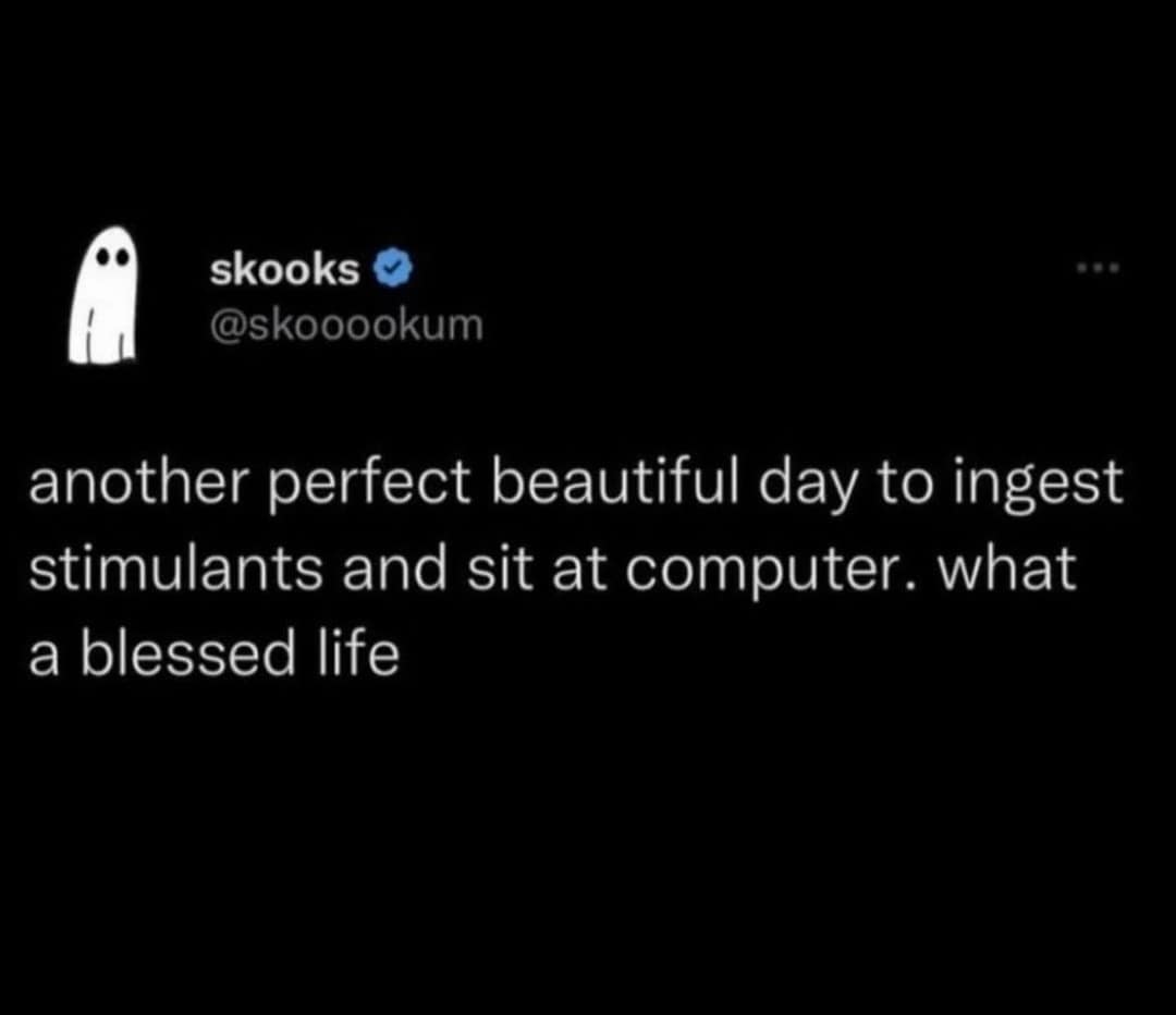 funny memes-20-2-3-2025 - Thunder Dungeon | The Funniest Memes. Period.