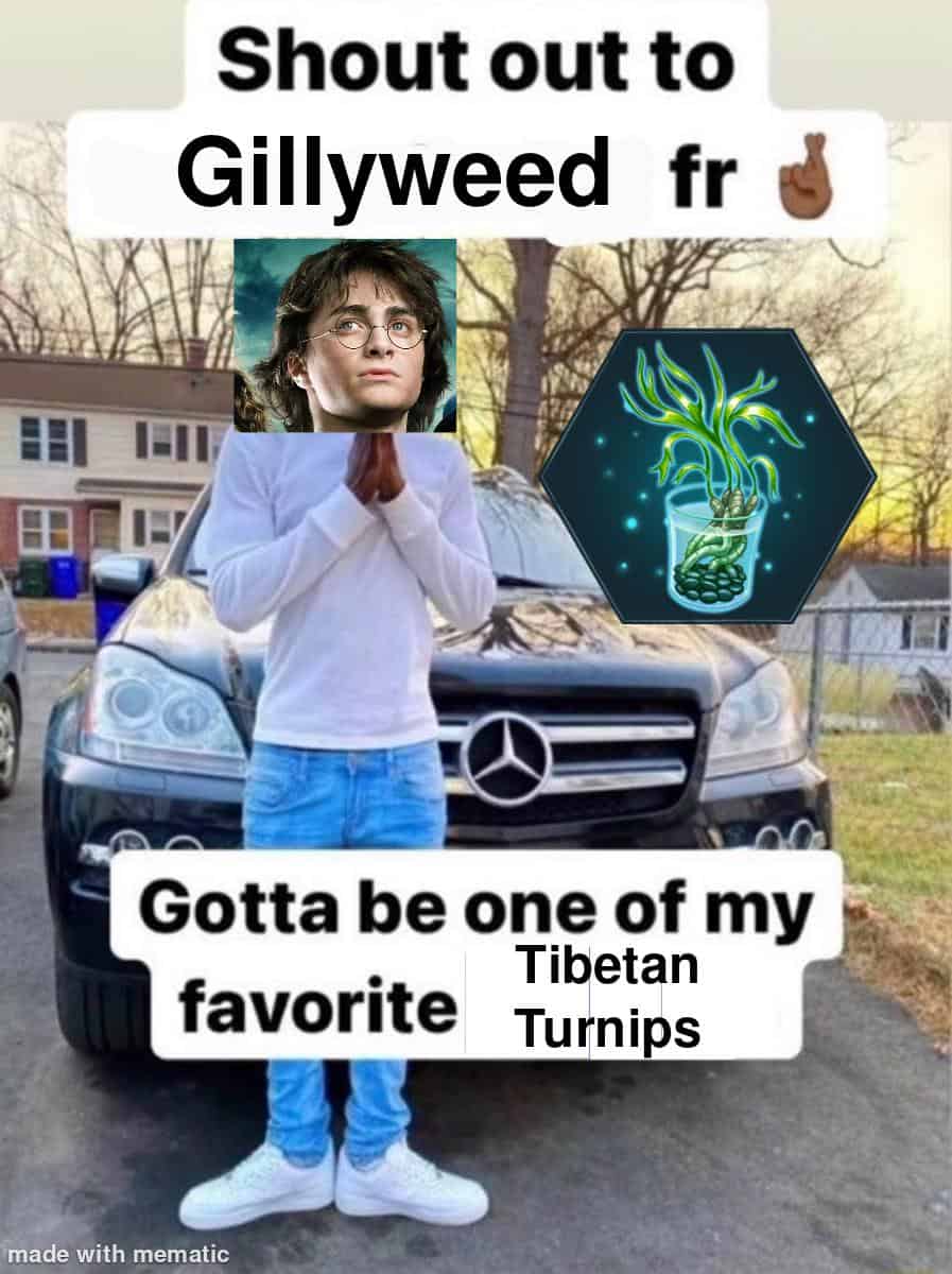 Harry Potter Gillyweed Memes Harry Potter | 10 Of Our Favourite Dobby