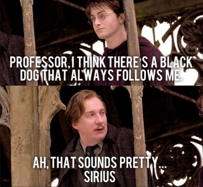 harry potter memes-25-1-21-2025 - Thunder Dungeon | The Funniest Memes. Period.