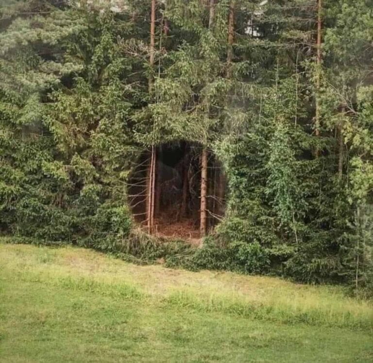 Liminal Spaces: 24 Pics That Quietly Haunt Your Daydreams