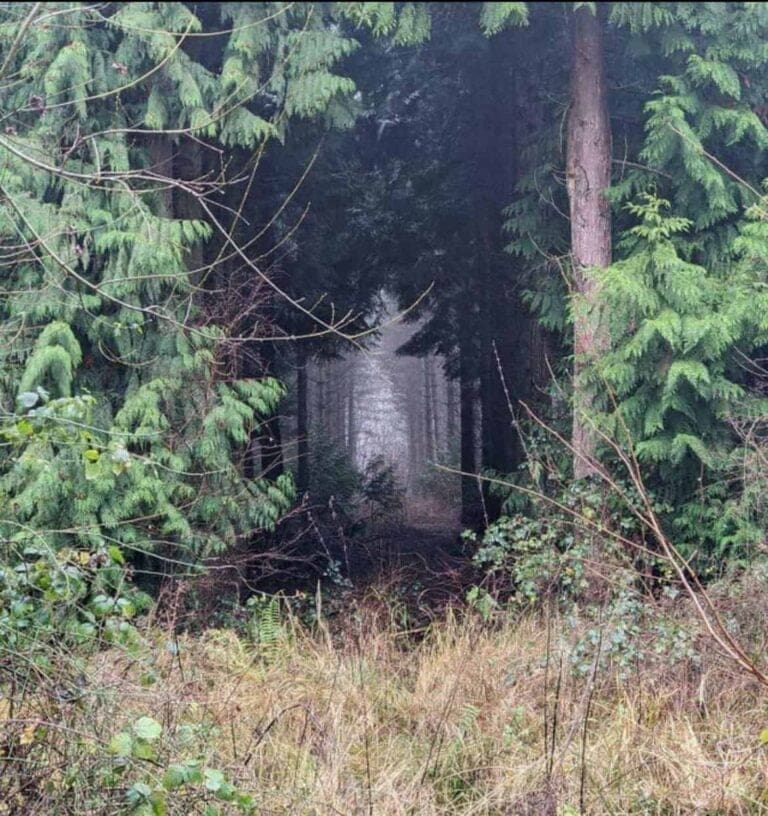 Liminal Spaces: 24 Pics That Quietly Haunt Your Daydreams