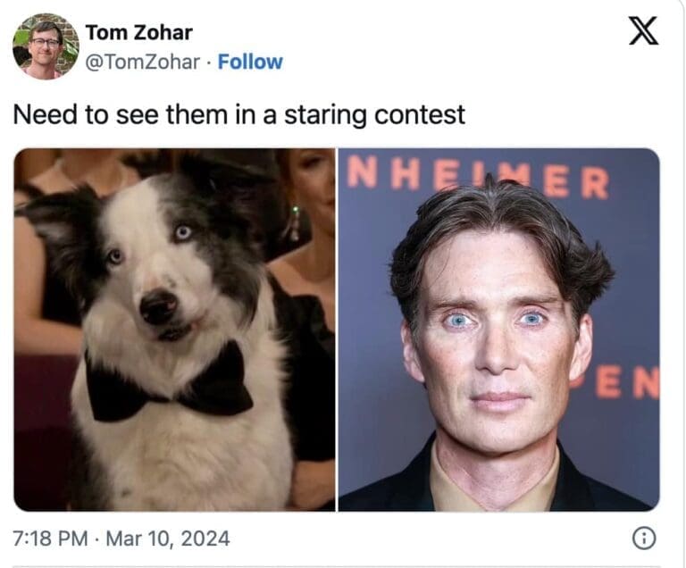 Oscar Memes: Last Year's Recap In Honour of the 2025 Noms