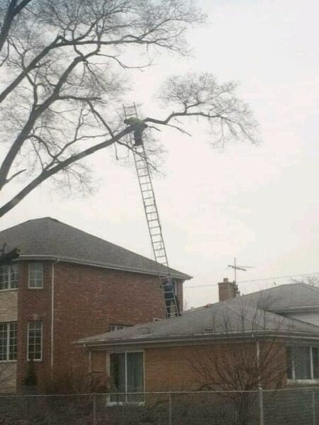 33 Hilarious OSHA Memes Showcasing Workplace Safety Fails at Their Finest