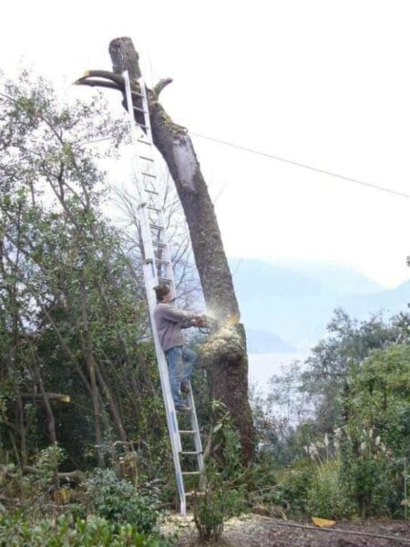 33 Hilarious OSHA Memes Showcasing Workplace Safety Fails at Their Finest