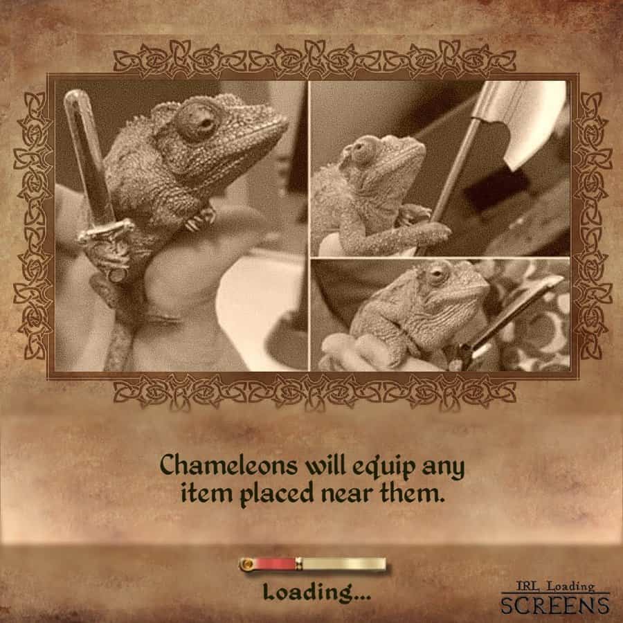 real life loading screen-7-20250103 - Thunder Dungeon | The Funniest ...