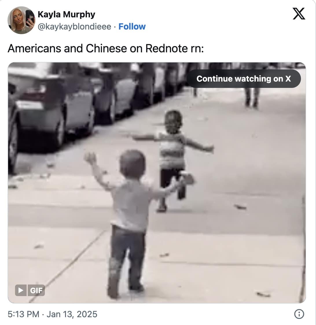 rednote memes-45-20250116 - Thunder Dungeon | The Funniest Memes. Period.