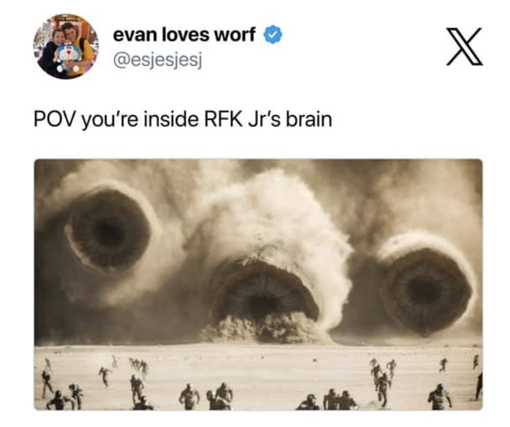 rfk jr meme-6-20250130 - Thunder Dungeon | The Funniest Memes. Period.