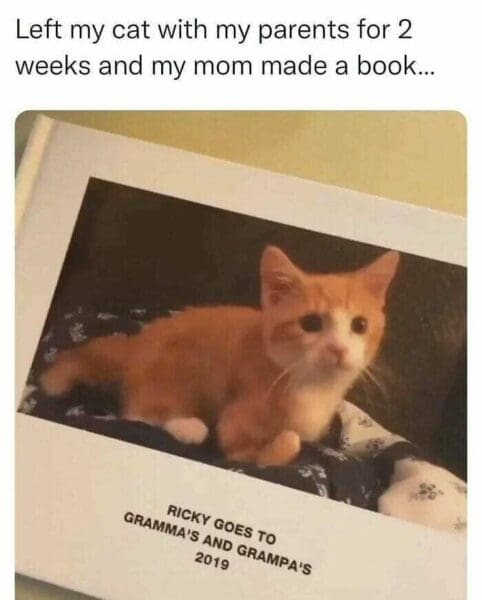 34 Mansplaining Memes That Are About Men Explaining Things... Hence Man ...