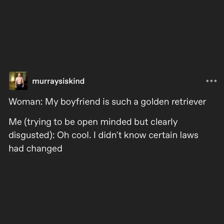 33 Short People Memes That Capture Life from a Lower Perspective