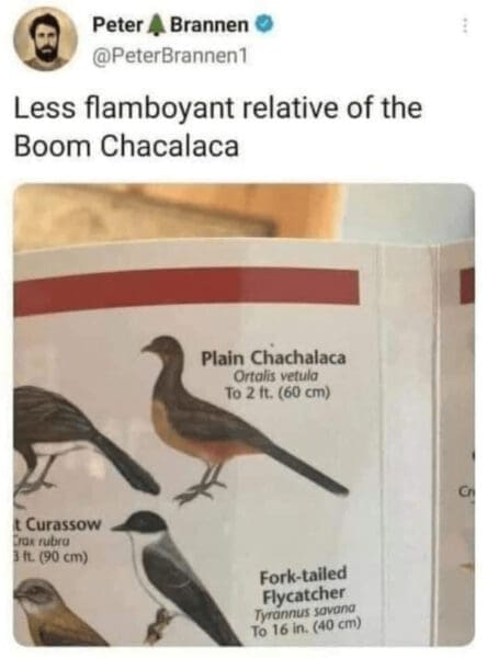 30 Clever Memes for Those Who Appreciate Subtle Humor