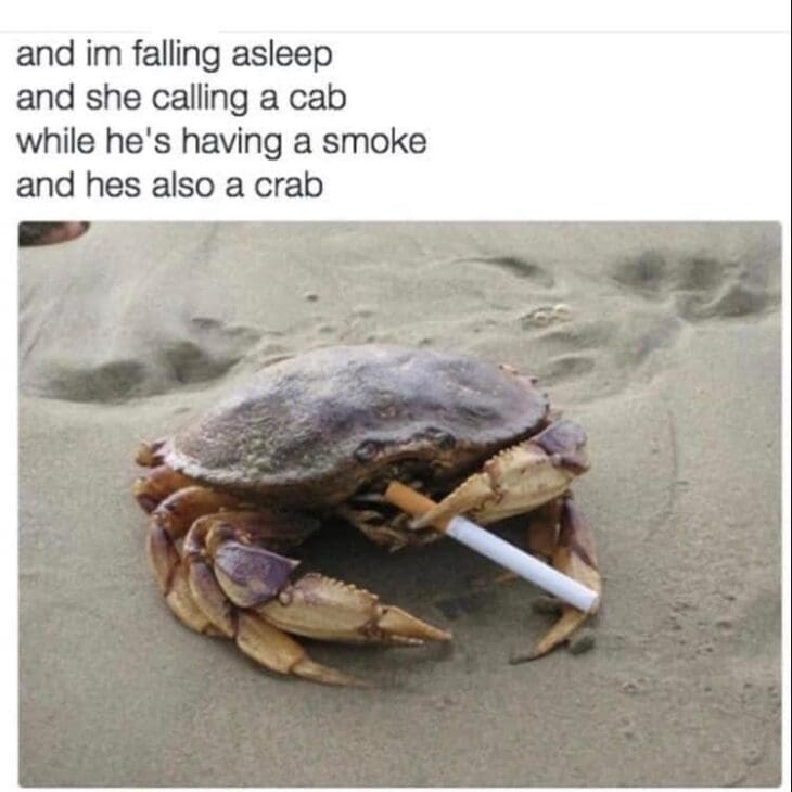 Crab Meme: 30 Crab Memes To Click Your Claws At