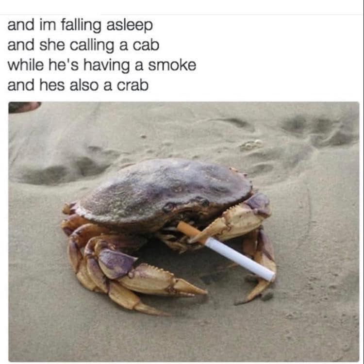 crab meme-27-20250211 - Thunder Dungeon | The Funniest Memes. Period.