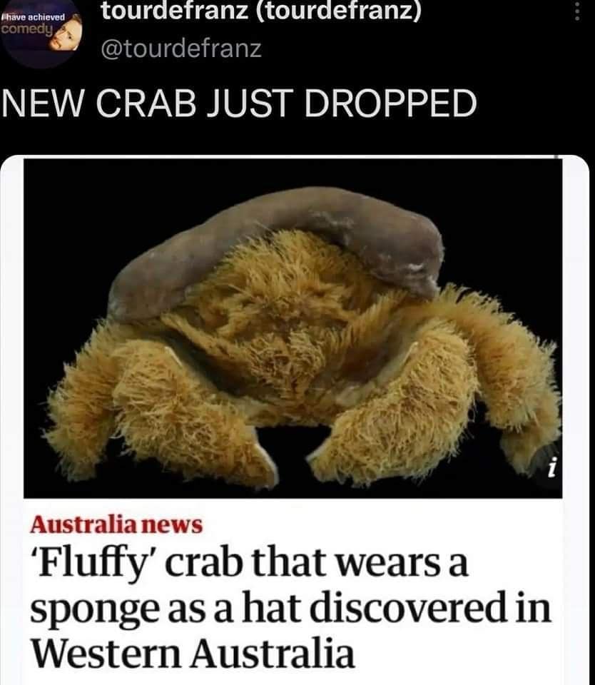 crab meme-30-20250211 - Thunder Dungeon | The Funniest Memes. Period.