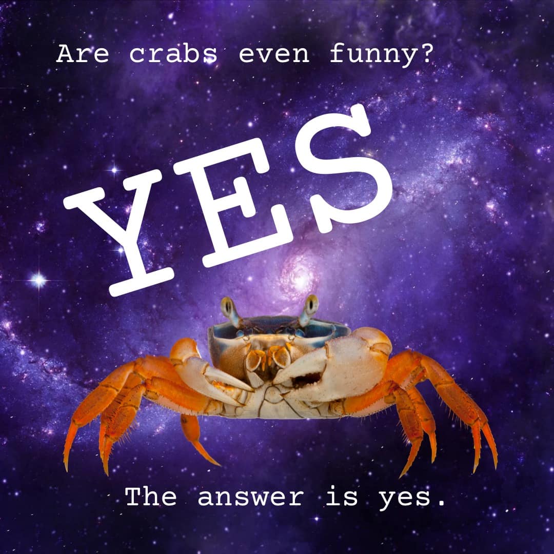 crab meme-31-20250211 - Thunder Dungeon | The Funniest Memes. Period.