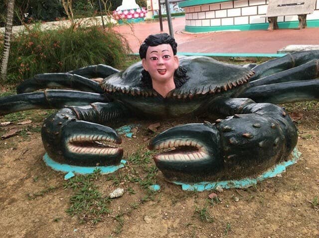 cursed images-6-20250210 - Thunder Dungeon | The Funniest Memes. Period.