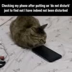 20 Do Not Disturb Memes for Hardcore Introverts