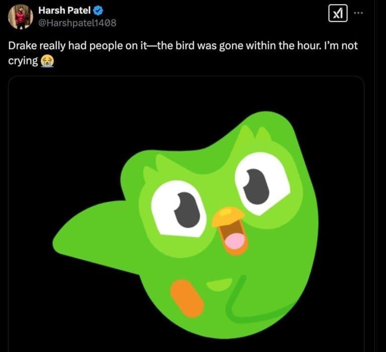 Duolingo Owl Dead Memes Are Breaking the Internet