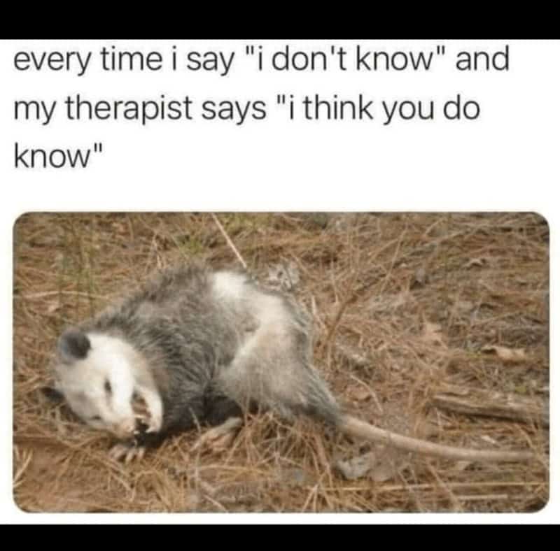 funny therapy memes-38-2-21-2025 - Thunder Dungeon | The Funniest Memes ...