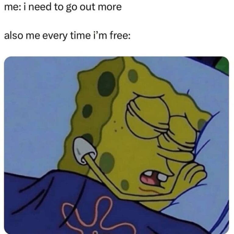 Girl Memes: 35 Funny Memes For The Girlies