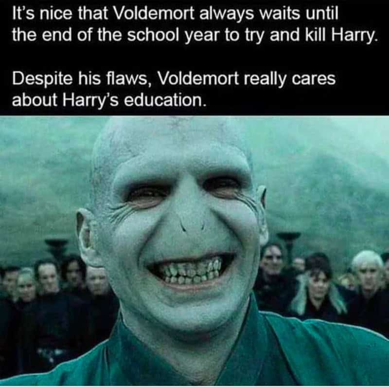 harry potter memes-17-20250213 - Thunder Dungeon | The Funniest Memes. Period.