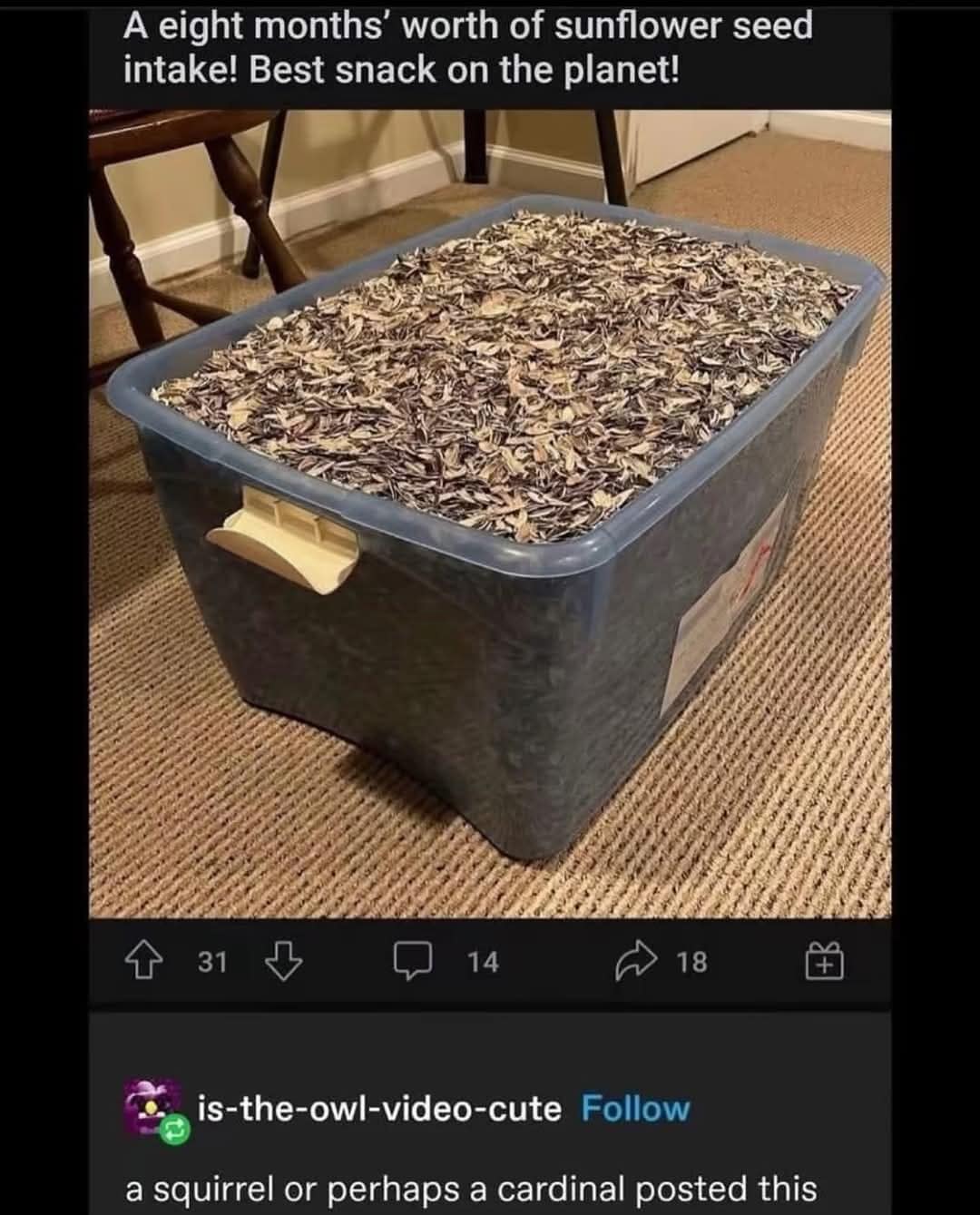 meme dump-19-20250212 - Thunder Dungeon | The Funniest Memes. Period.