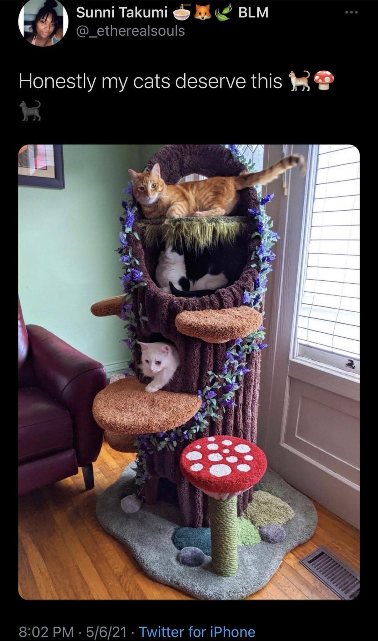 meme dump-5-20250212 - Thunder Dungeon | The Funniest Memes. Period.