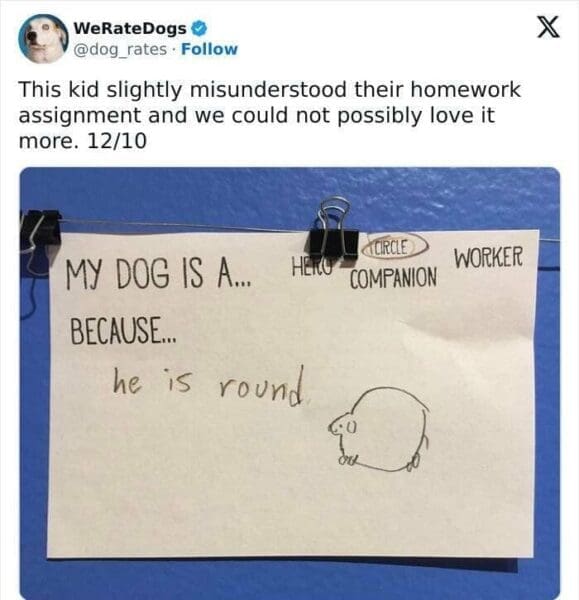 30 Most Embarrassing Moments That Will Make You Cringe