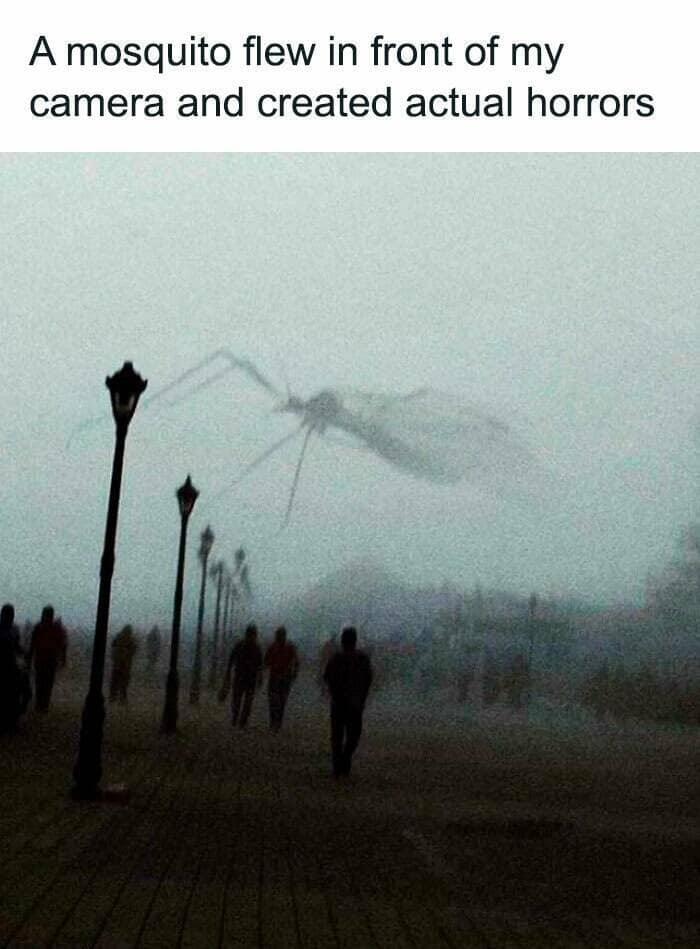 most embarrassing moments-53-20250215 - Thunder Dungeon | The Funniest ...