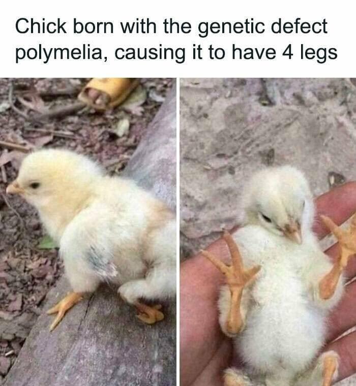 most embarrassing moments-59-20250215 - Thunder Dungeon | The Funniest ...