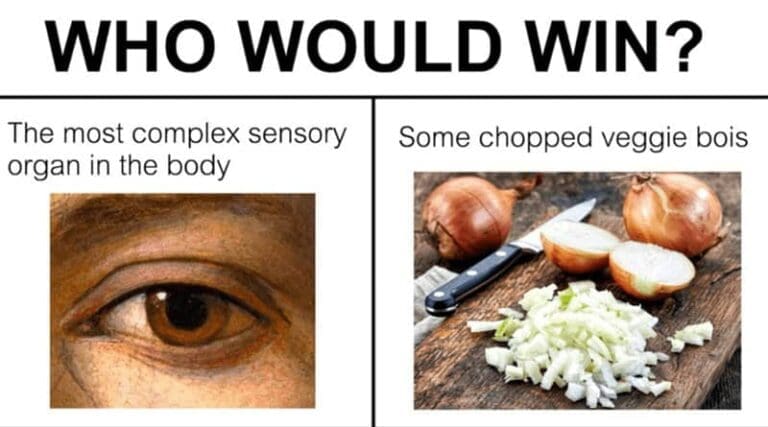 17 Neuralink Memes Because Elon Is Coming for Your Brain