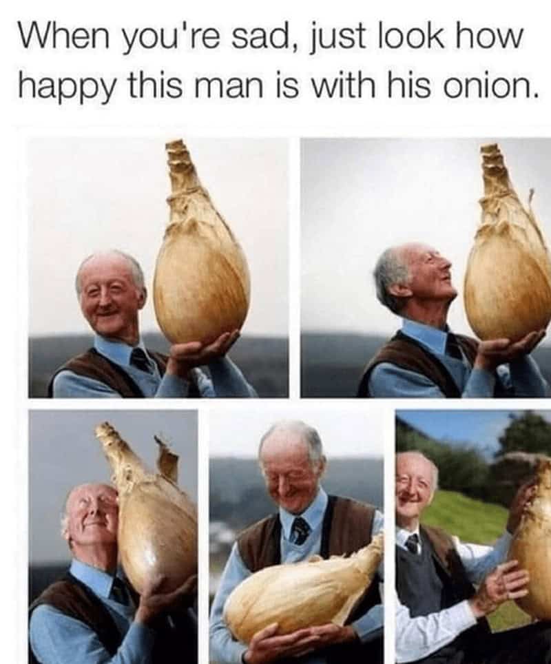 onion memes-6-2-4-2025 - Thunder Dungeon | The Funniest Memes. Period.