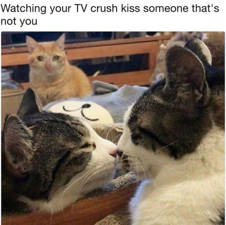 TV Memes: 30 Laughs For The Television Obsessed
