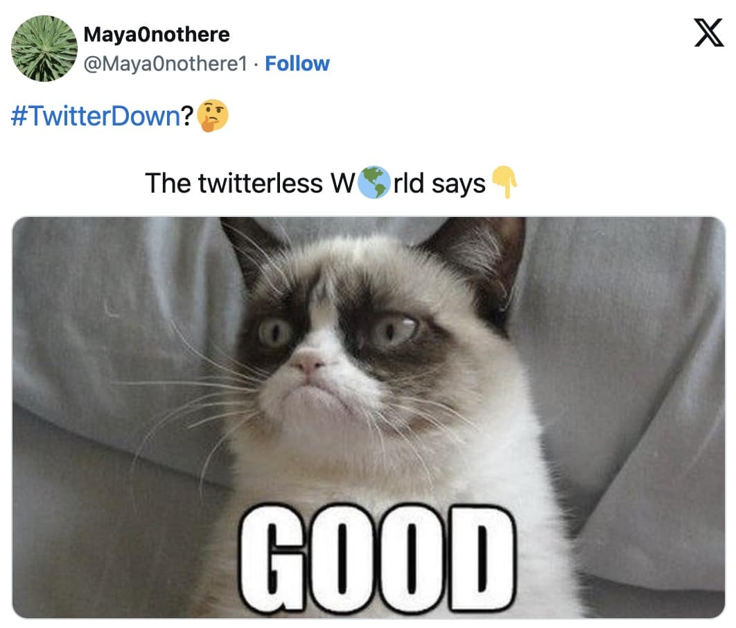 X outage memes-17-20250311 - Thunder Dungeon | The Funniest Memes. Period.