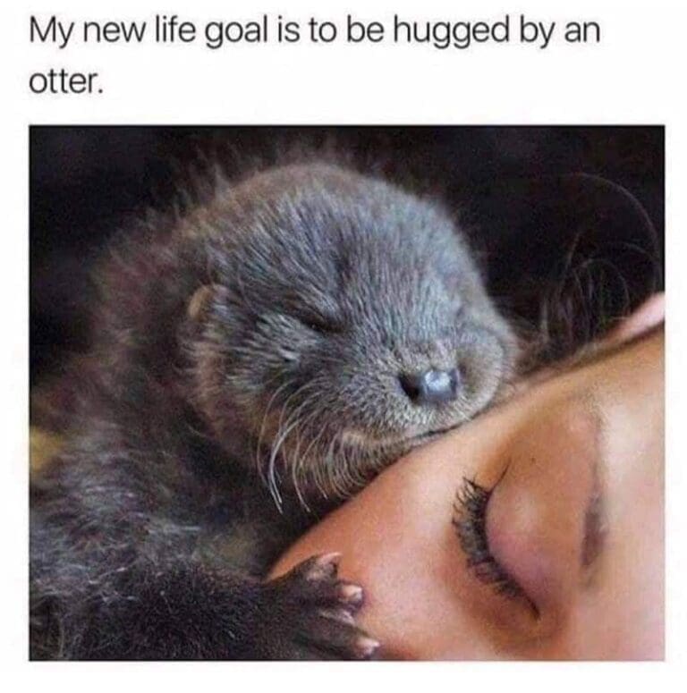 35 Ominous Positivity Memes That Will Leave You Existentially Confused