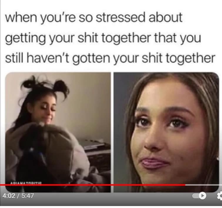 ariana grande memes-26-20250311 - Thunder Dungeon | The Funniest Memes. Period.