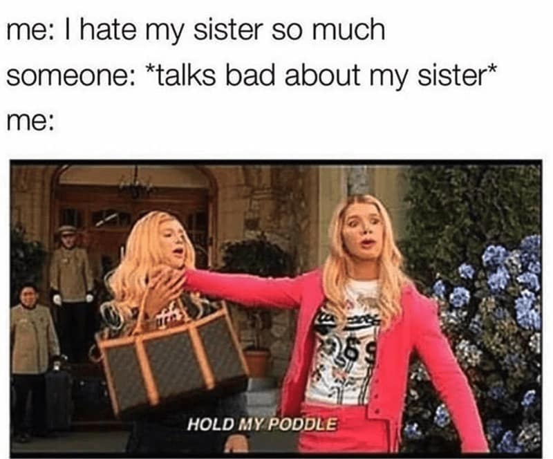 family memes-21-20250310 - Thunder Dungeon | The Funniest Memes. Period.