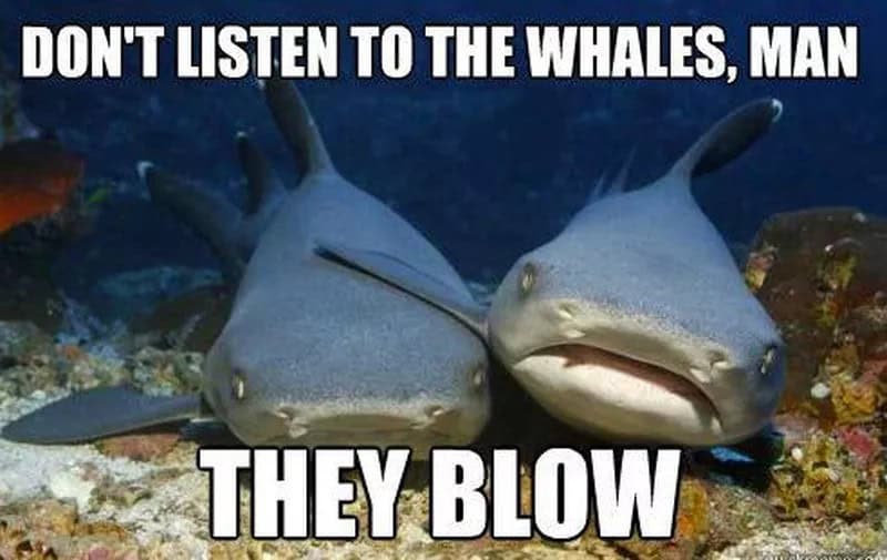 fish memes-27-3-31-2025 - Thunder Dungeon | The Funniest Memes. Period.