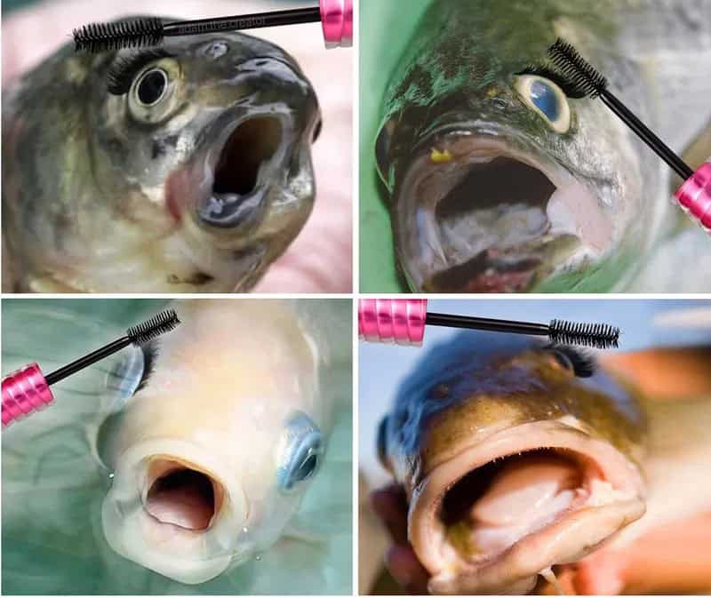 fish memes-30-3-31-2025 - Thunder Dungeon | The Funniest Memes. Period.