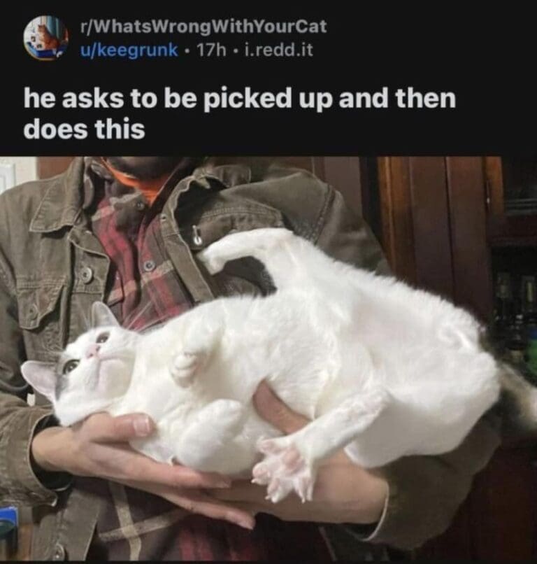 Minecraft Memes: 45 Crafty Memes For The Blockheads