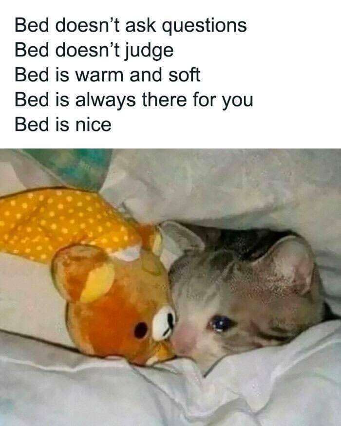 introvert memes-45-20250319 - Thunder Dungeon | The Funniest Memes. Period.