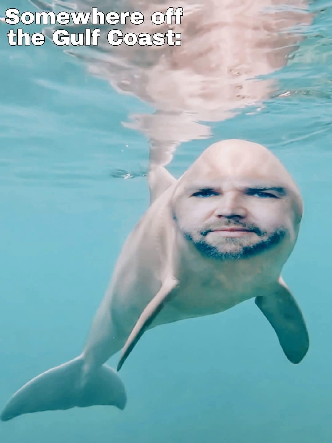 jd vance memes-10-3-5-2025 - Thunder Dungeon | The Funniest Memes. Period.