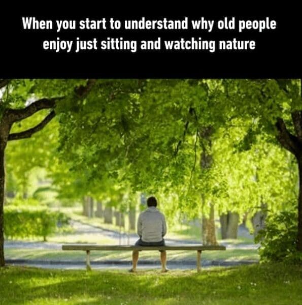 Mother Nature Memes: 24 Nature Memes About The Outdoors