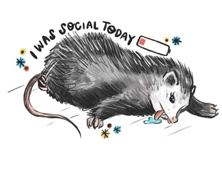 44 Opossum Memes Overflowing with Chaos, Trash, and Pure Joy
