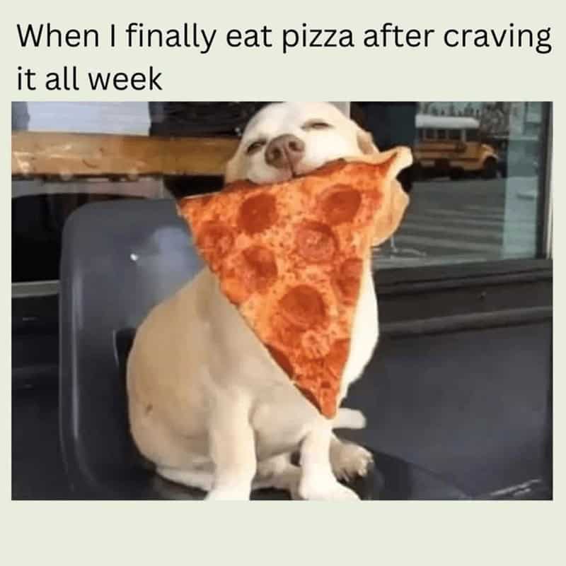 pizza memes-15-2-25-2025 - Thunder Dungeon | The Funniest Memes. Period.