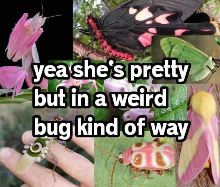 Epic Job Quitting Memes: 27 People Quitting in Style