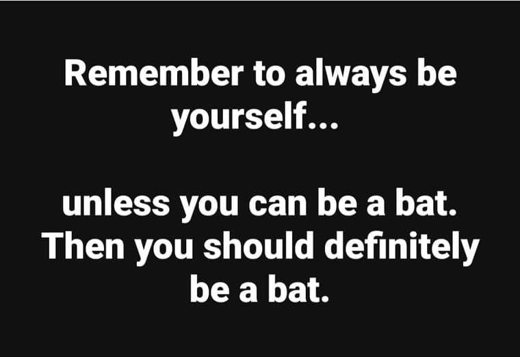 bat memes-30-4-8-2025 - Thunder Dungeon | The Funniest Memes. Period.
