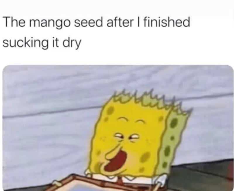 fruit memes-6-20250417 - Thunder Dungeon | The Funniest Memes. Period.